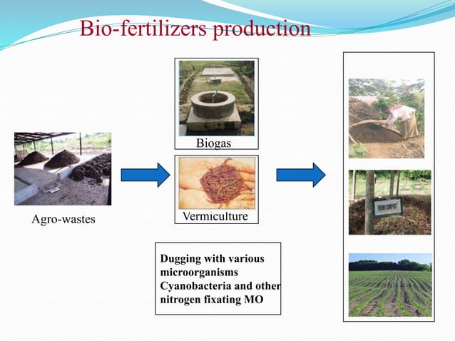 Agricultural waste management | PPTX