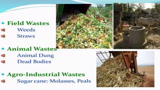 AGRICULTURAL WASTE MANAGEMENT: MECHANISM AND SOLUTIONS | PPTX