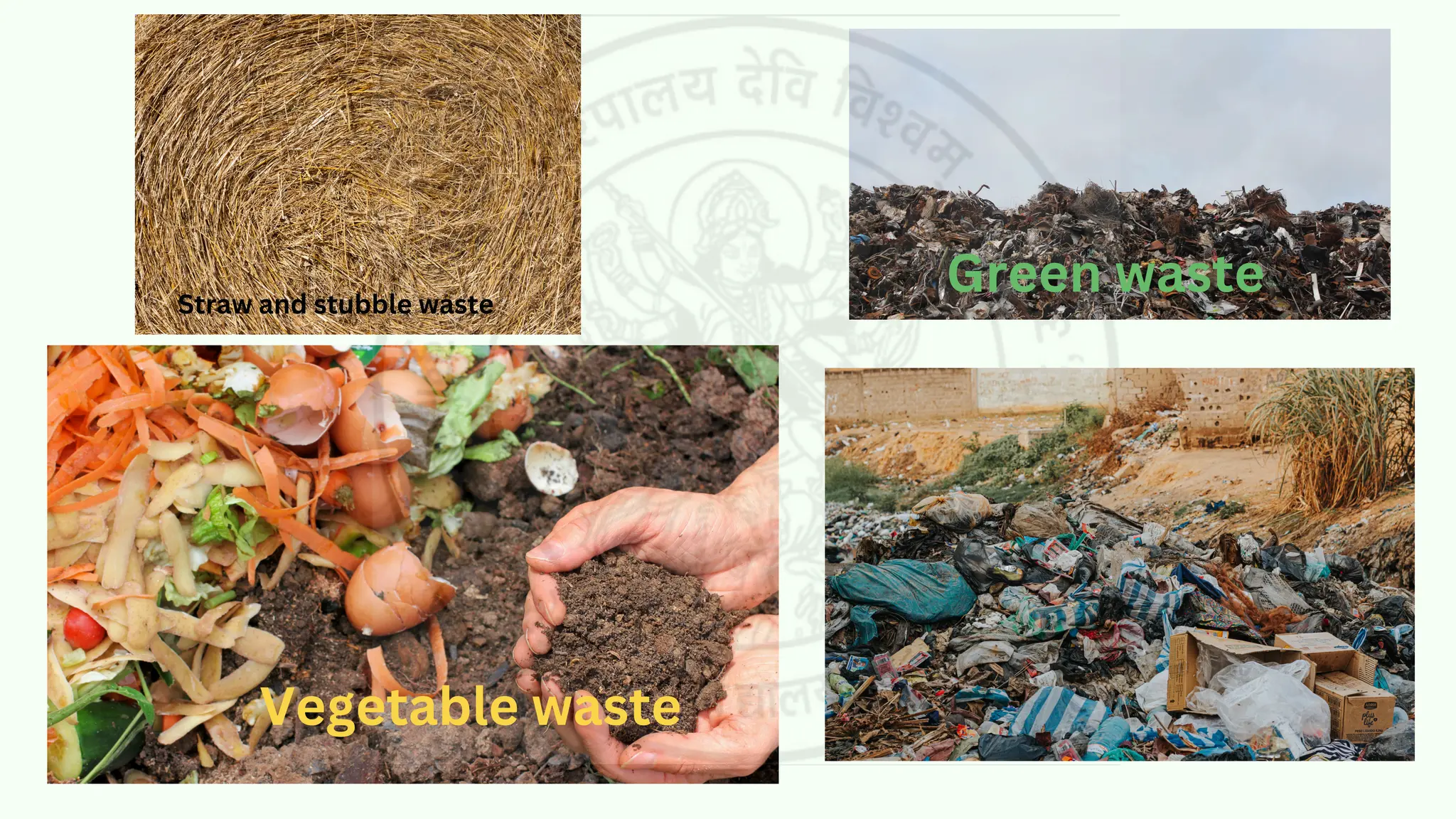 Agricultural waste management Presentation(2024).pdf