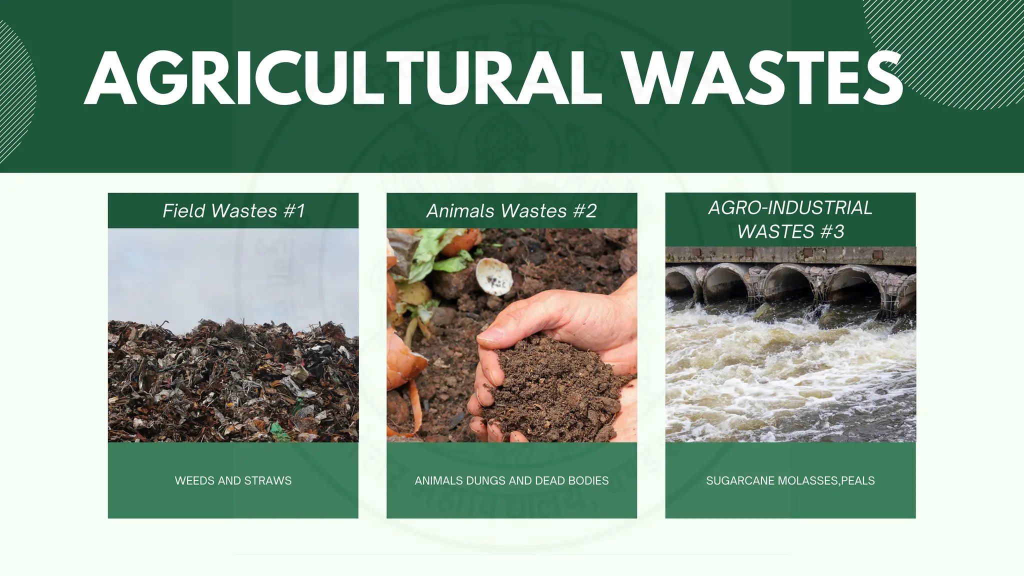 Agricultural waste management Presentation(2024).pdf