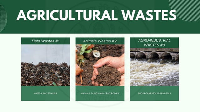 Agricultural waste management Presentation(2024).pdf