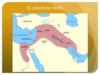 Agricultura, revolución verde y agricultura ecológica | PDF