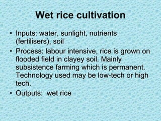 Sec 1 Agriculture | PPT