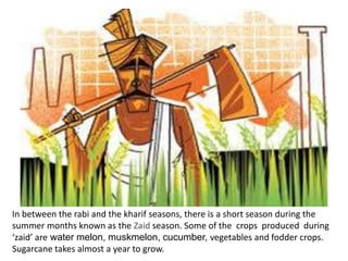 Agriculture | PPSX | Agriculture | Industries