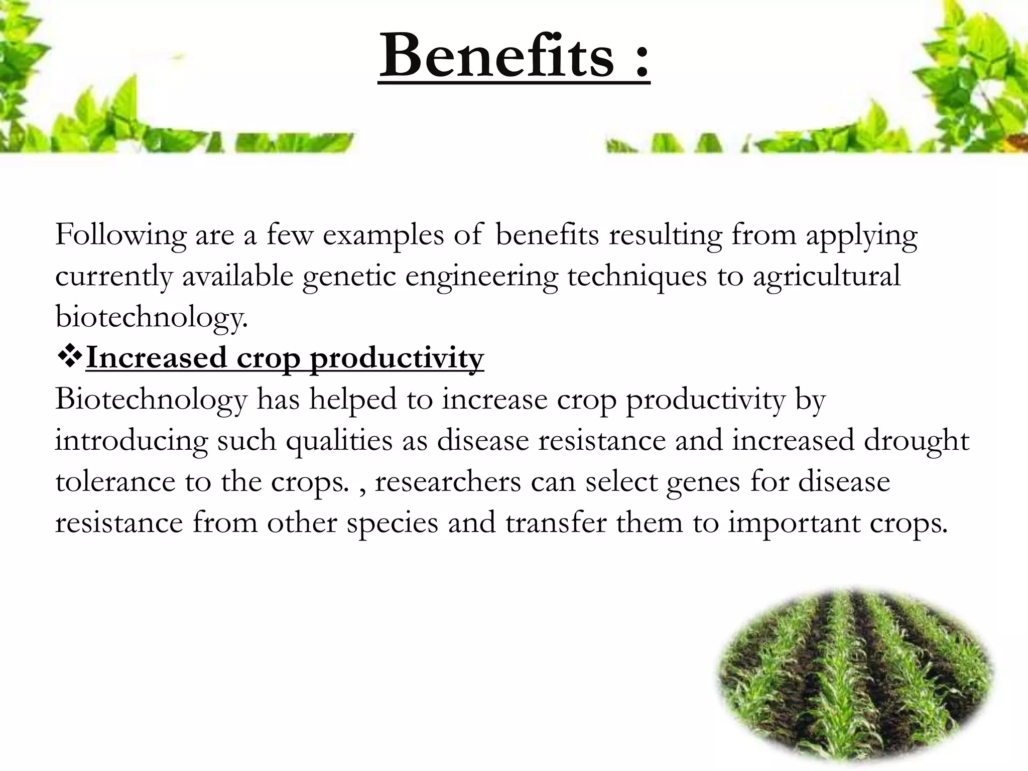 biotechnology in Agriculture | PPTX