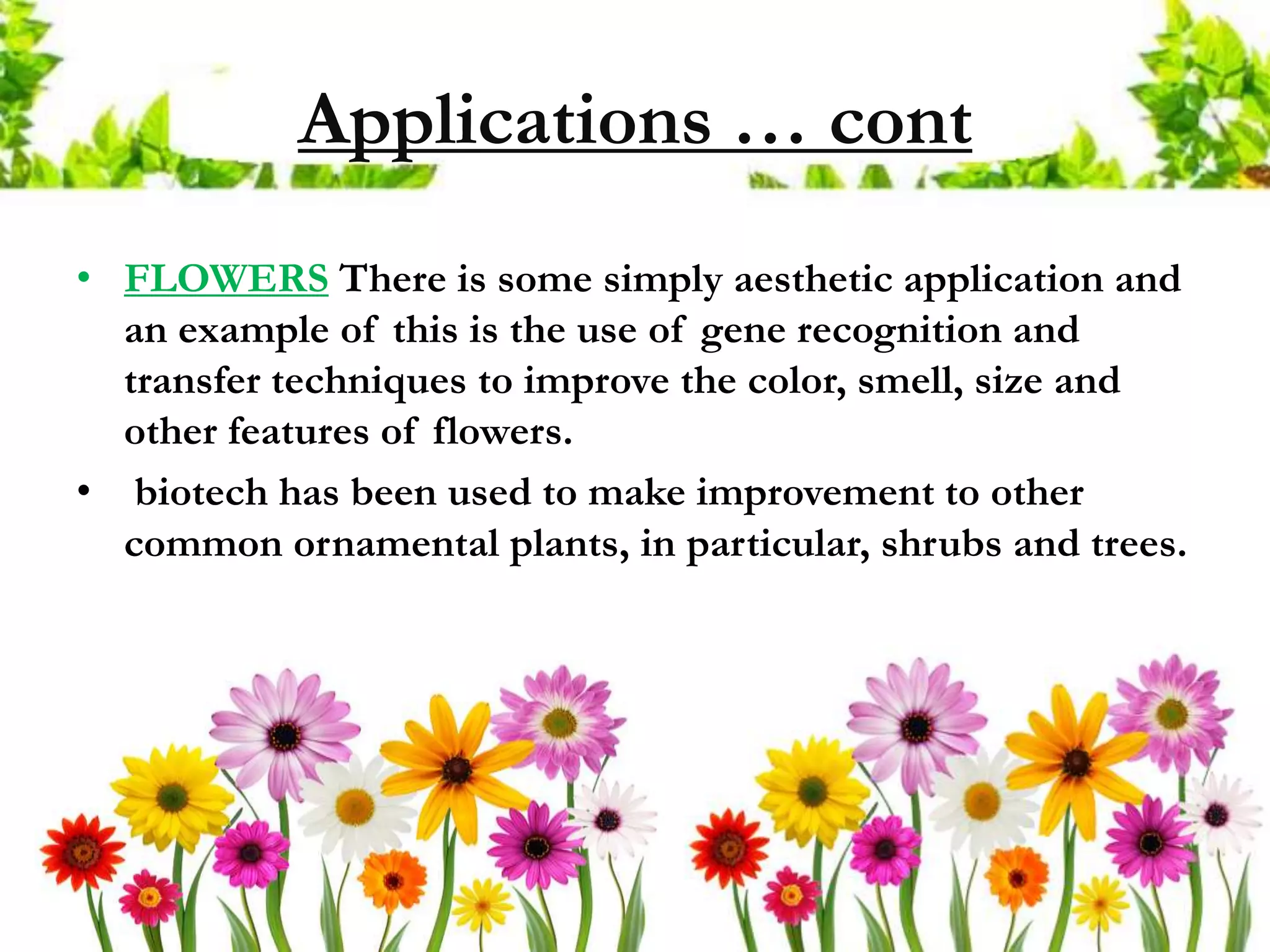 biotechnology in Agriculture | PPTX