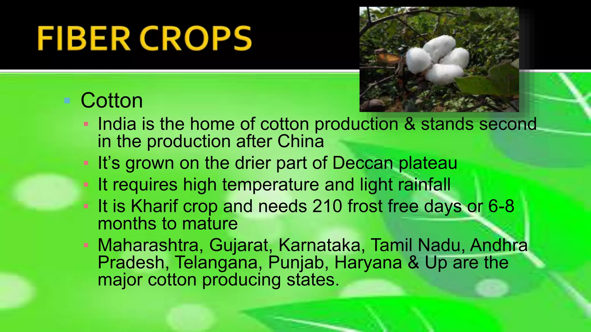 Agriculture ppt | PPTX