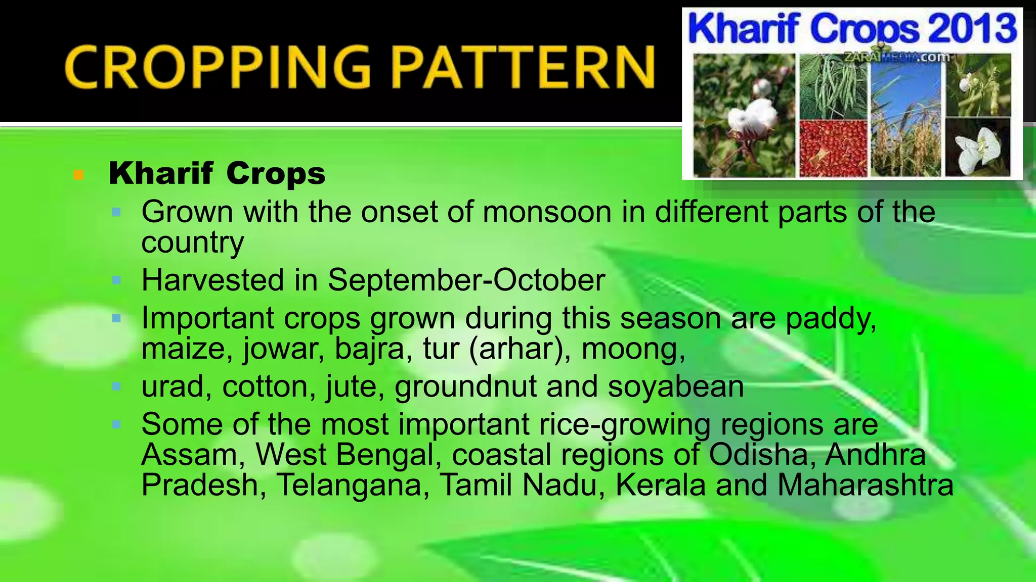 Agriculture ppt | PPTX