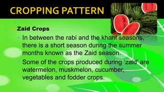 Agriculture ppt | PPTX