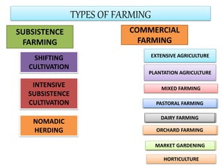 Agriculture | PPTX