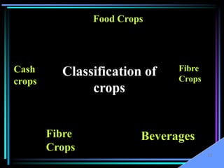 Goeg: class 10, Agriculture cbse | PDF