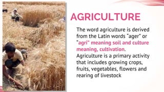 Agriculture | PPTX