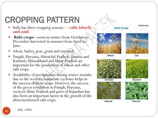 Agriculture | PDF | Agriculture | Industries