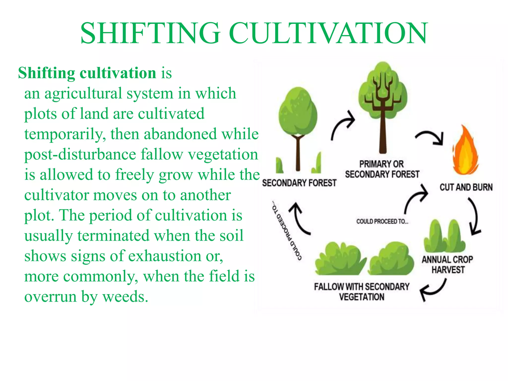 Agriculture | PPTX