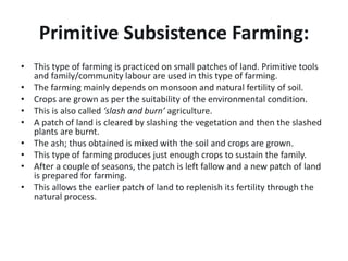 Primitive Subsistence Farming