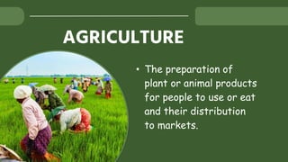 Agriculture.pptx