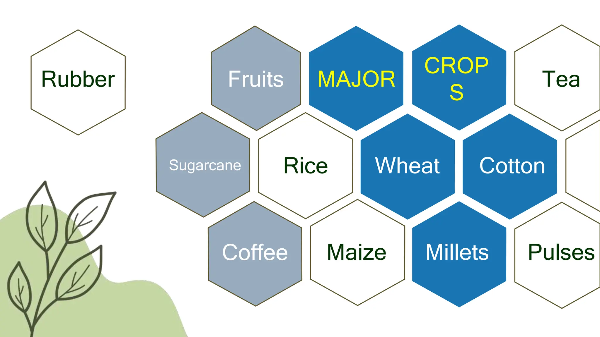 Agriculture Class - 10th | PPTX