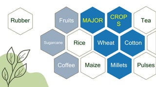 Agriculture Class - 10th | PPTX