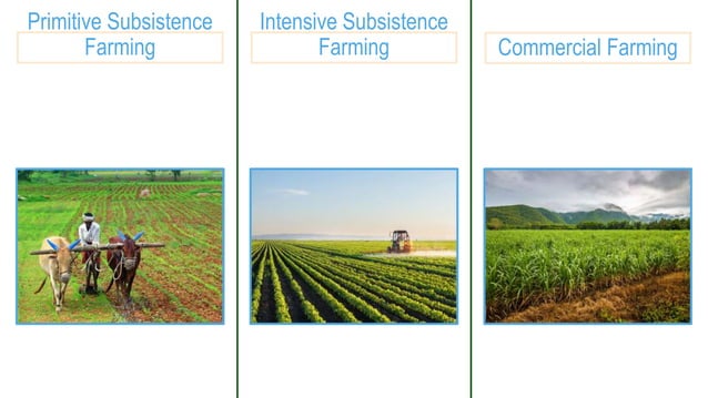 Agriculture Class - 10th | PPTX