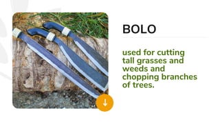 BRANCHES OF AGRICULTURE AND DIFFERENT HORTICULTURE TOOLS AND EQUIPMENT ...