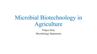 Agriculture.PPTX Scope of Microbial Biotechnology | PPTX