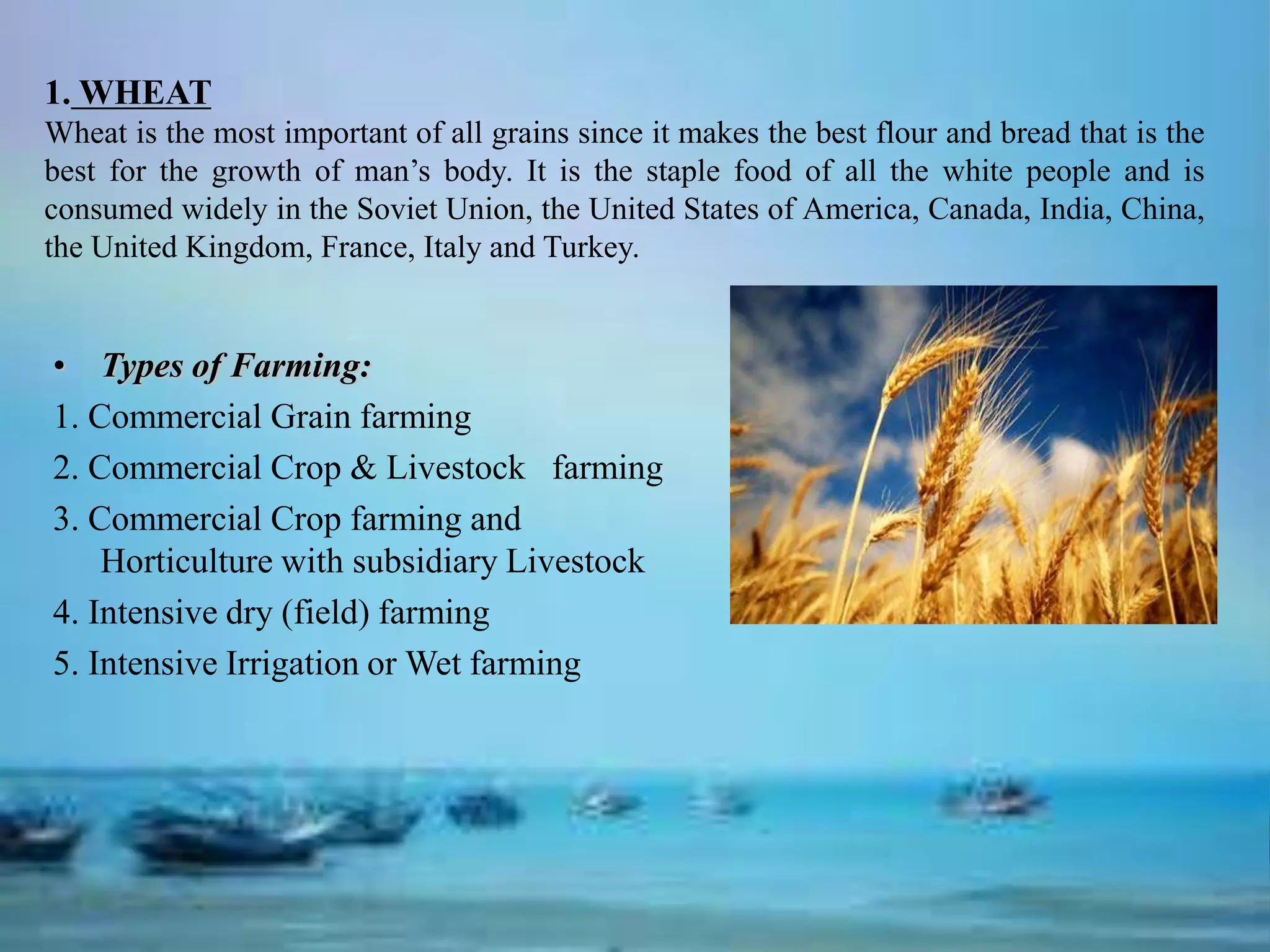 Agriculture | PPTX