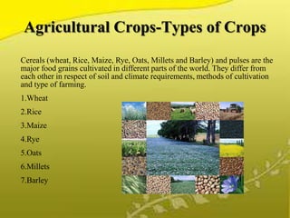 Agriculture | PPTX
