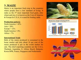 Agriculture | PPTX