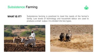 Agriculture | Ls - 4 | Class - 8 | Geography | Social Science - PPT ...