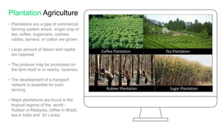 Agriculture | Ls - 4 | Class - 8 | Geography | Social Science - PPT | PDF