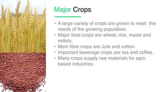 Agriculture | Ls - 4 | Class - 8 | Geography | Social Science - PPT | PDF