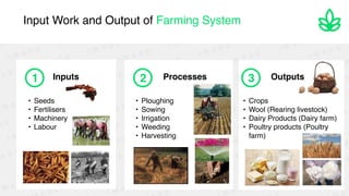 Agriculture | Ls - 4 | Class - 8 | Geography | Social Science - PPT ...
