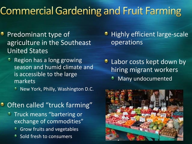 Agriculture-Commercial Farming