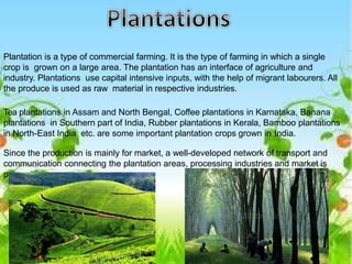 agriculture-geography-160112142549.pptx