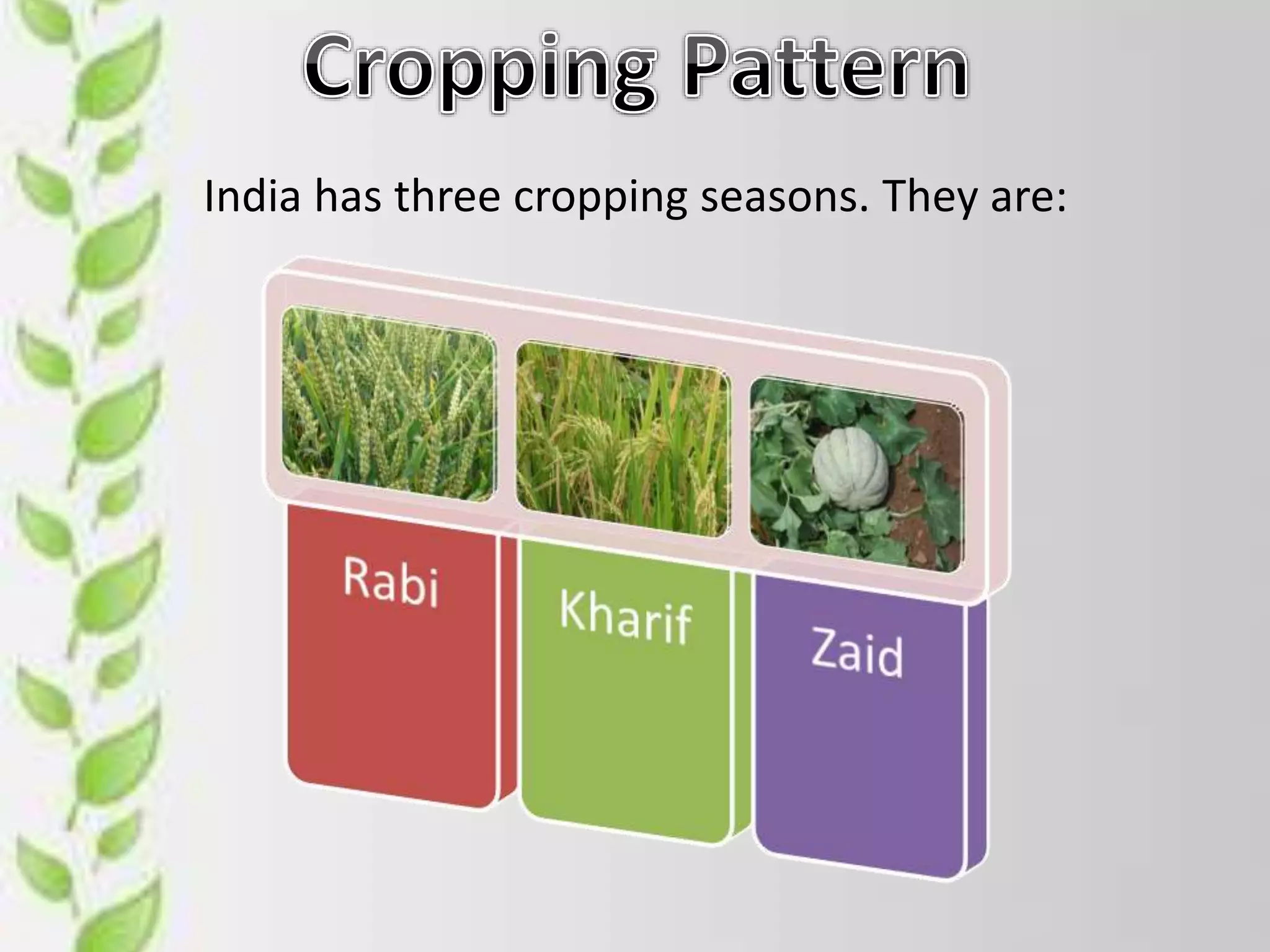 Agriculture -Geography - Class 10 | PPSX