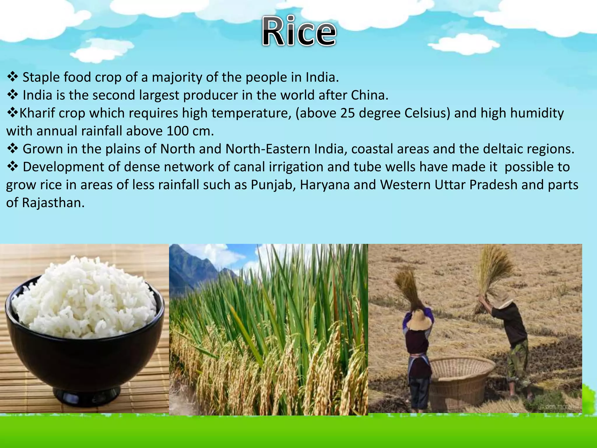 Agriculture -Geography - Class 10 | PPSX