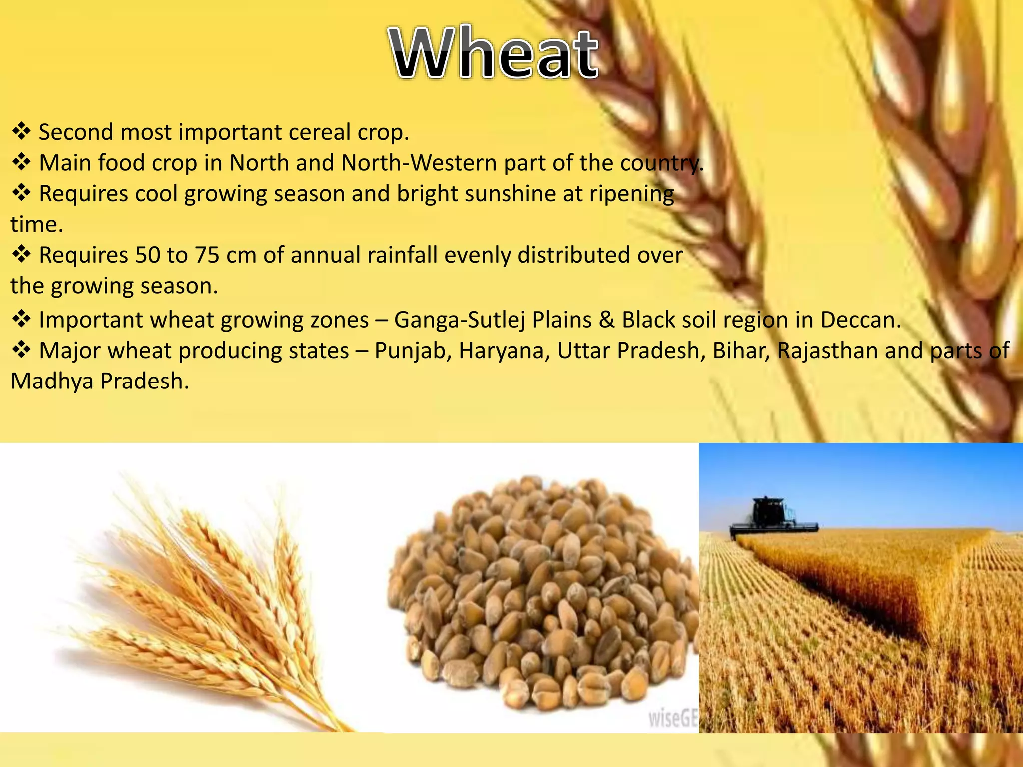 Agriculture -Geography - Class 10 | PPSX