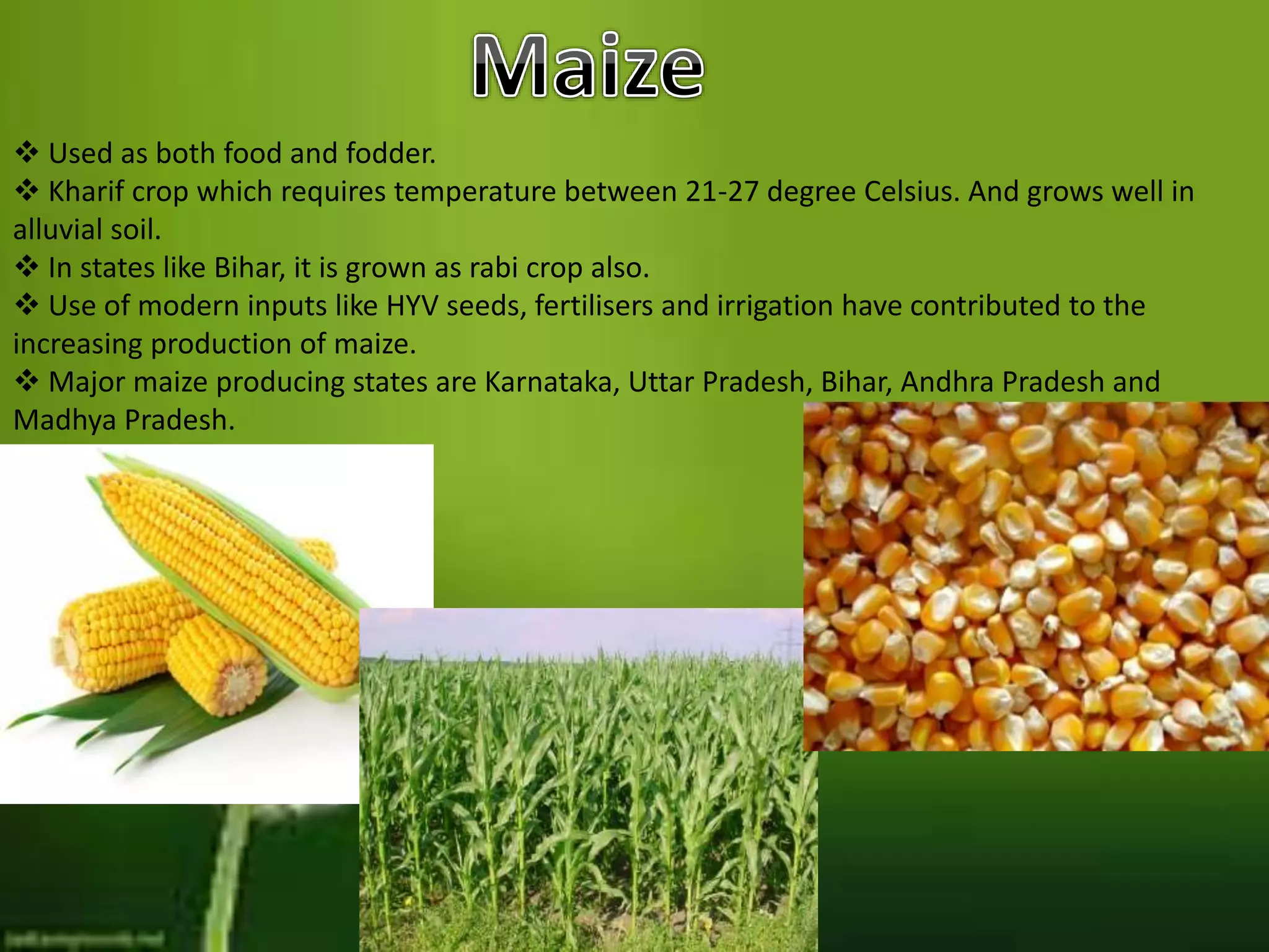 Agriculture -Geography - Class 10 | PPSX