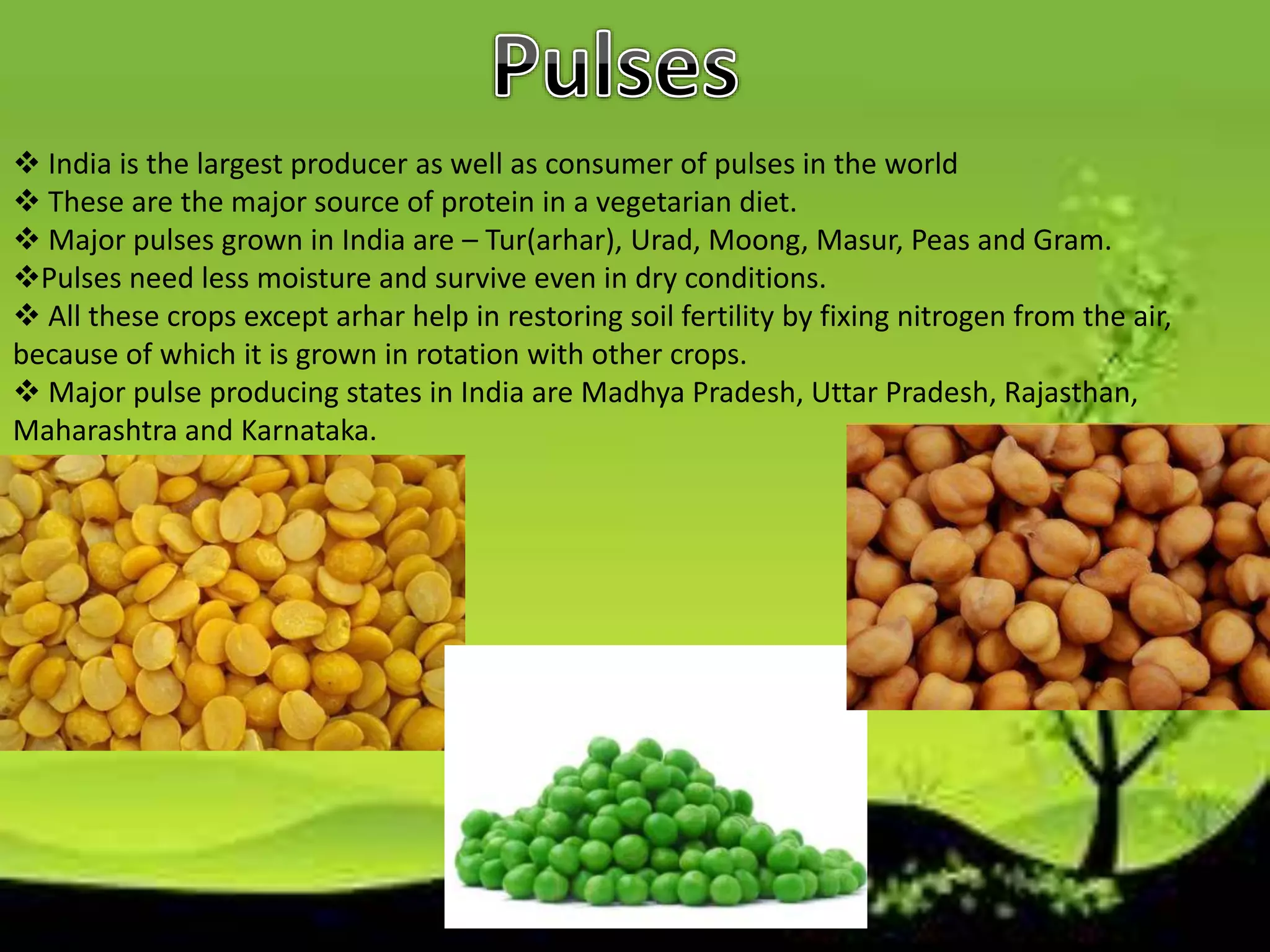 Agriculture -Geography - Class 10 | PPSX