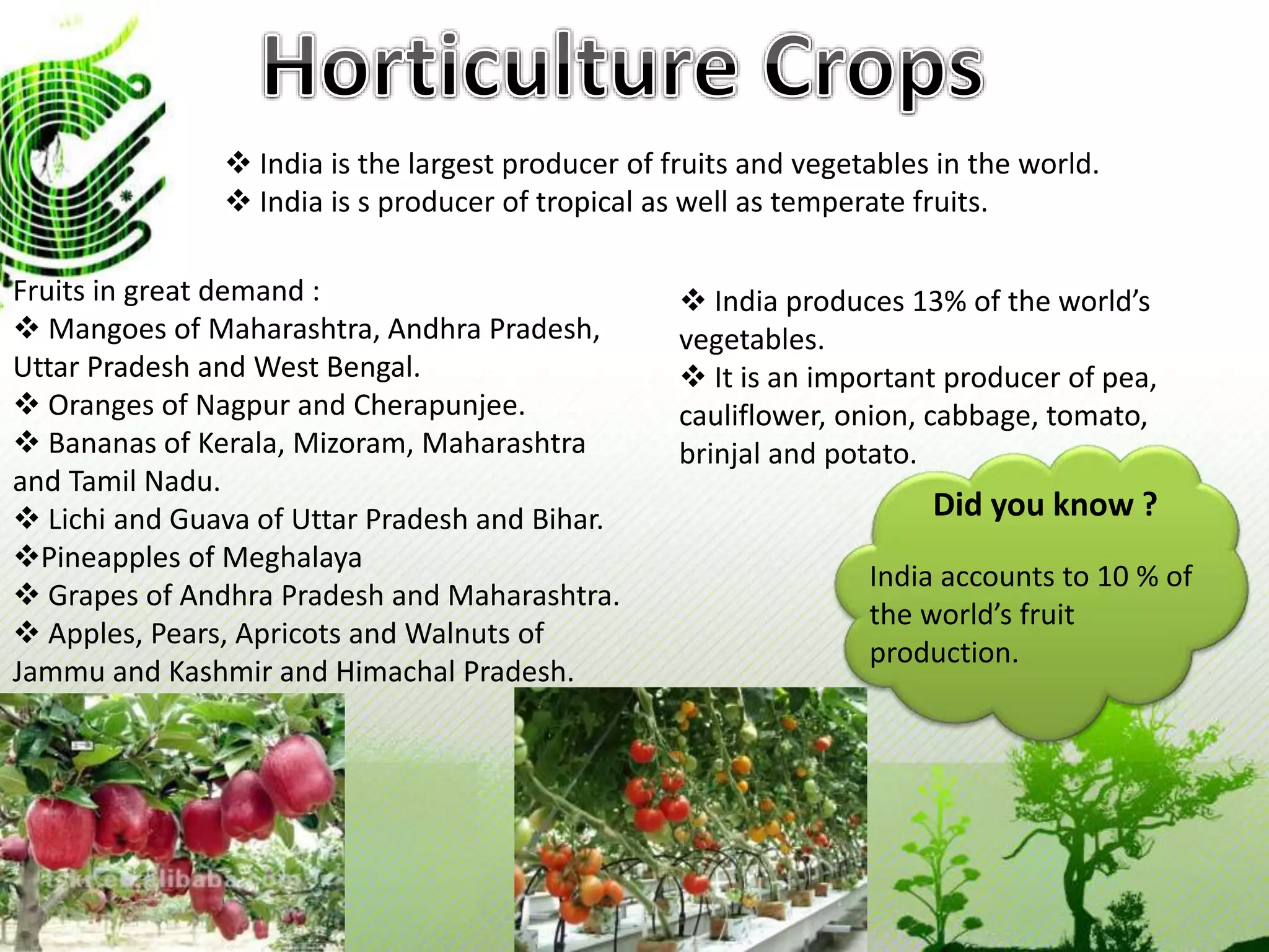 Agriculture -Geography - Class 10 | PPSX