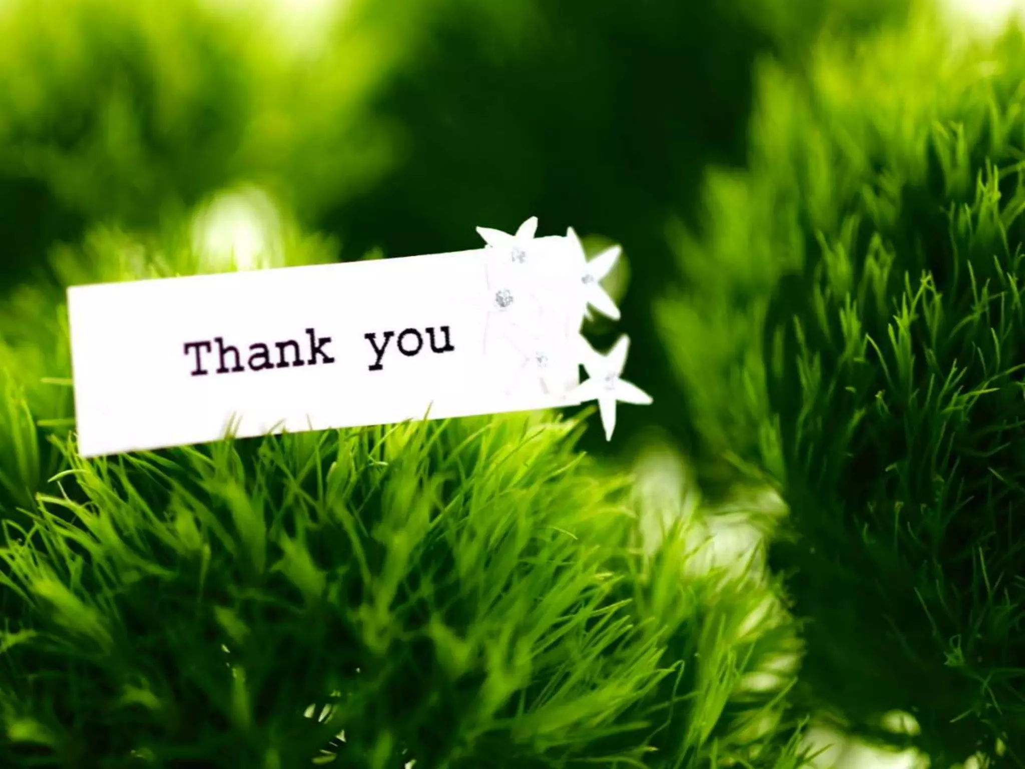 Agriculture -Geography - Class 10 | PPSX