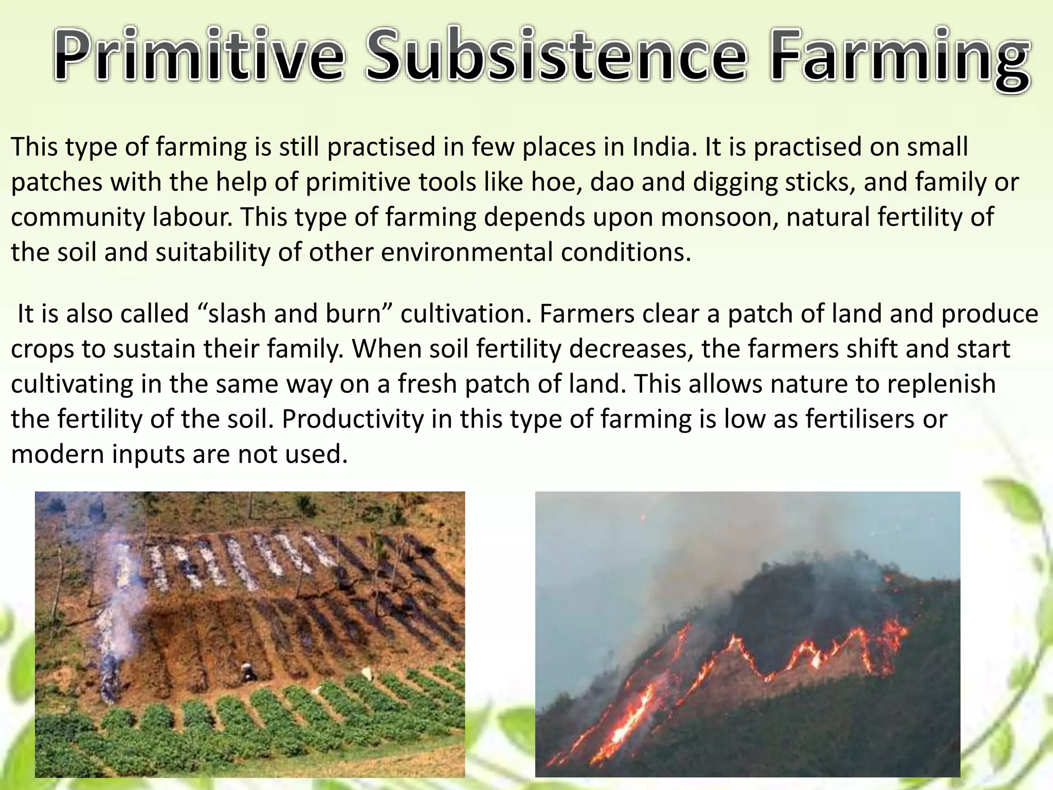 Agriculture -Geography - Class 10 | PPSX