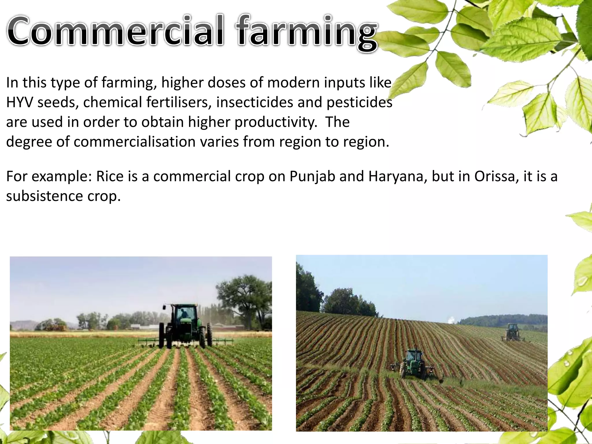 Agriculture -Geography - Class 10 | PPSX