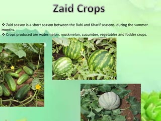 Agriculture -Geography - Class 10 | PPSX