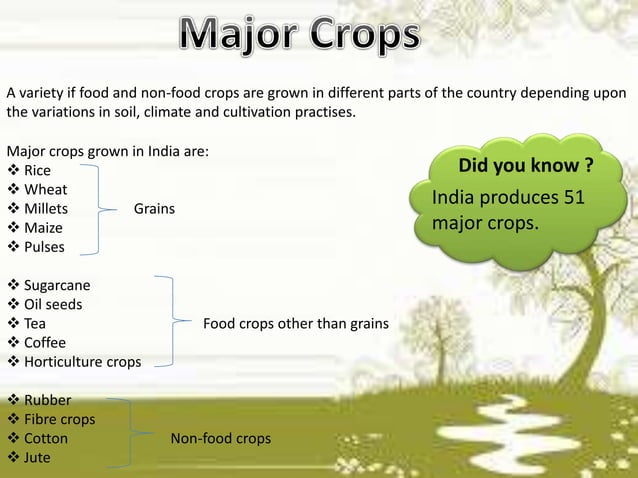 Agriculture -Geography - Class 10 | PPSX | Agriculture | Industries