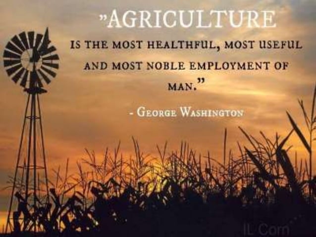 Agriculture -Geography - Class 10 | PPSX | Agriculture | Industries