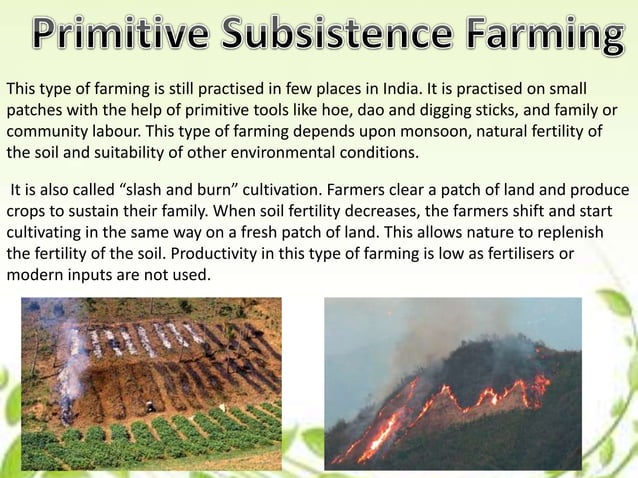 Agriculture -Geography - Class 10 | PPSX | Agriculture | Industries