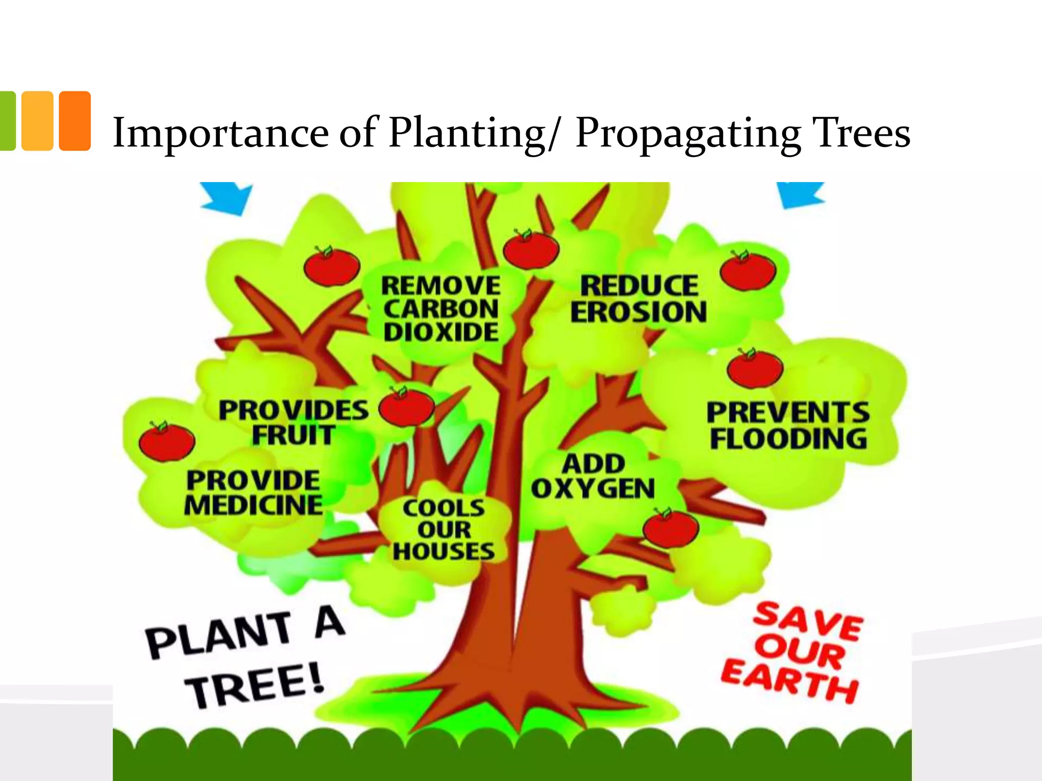 TLE 6 - Agriculture | PPTX