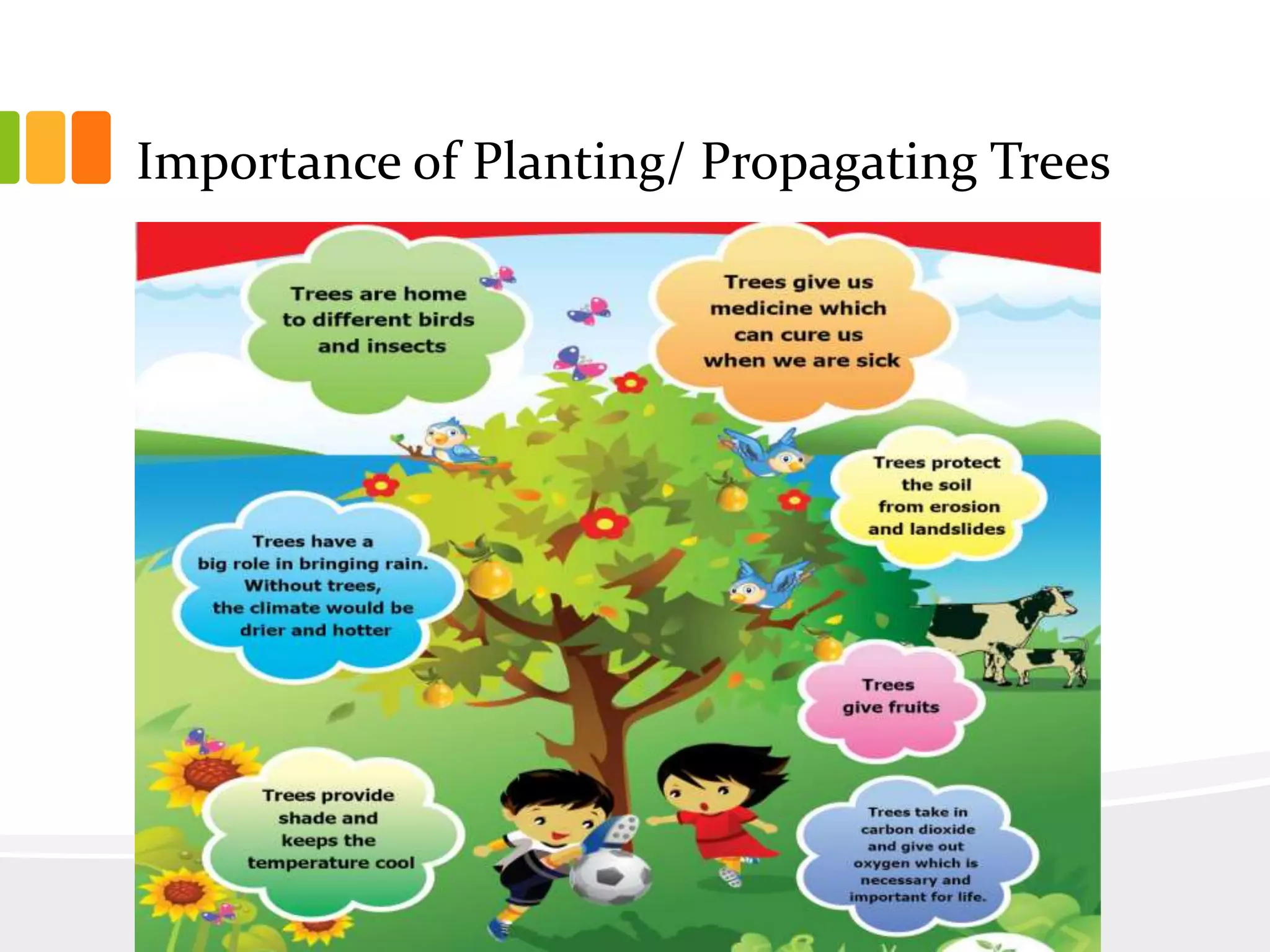 TLE 6 - Agriculture | PPTX