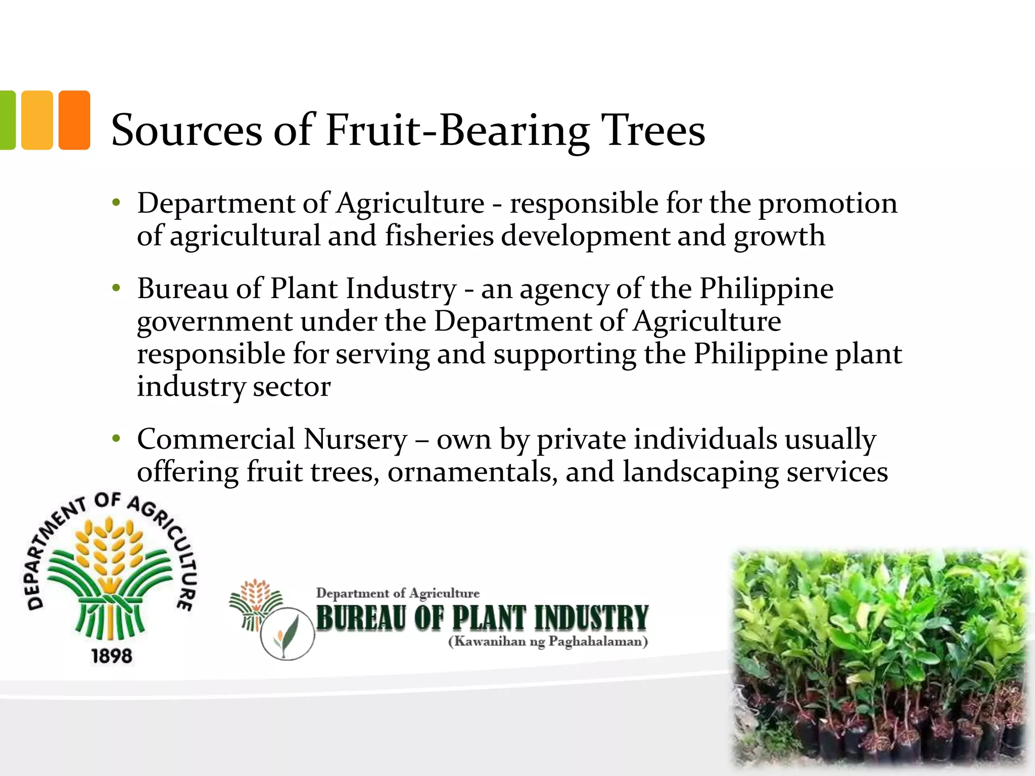 TLE 6 - Agriculture | PPTX